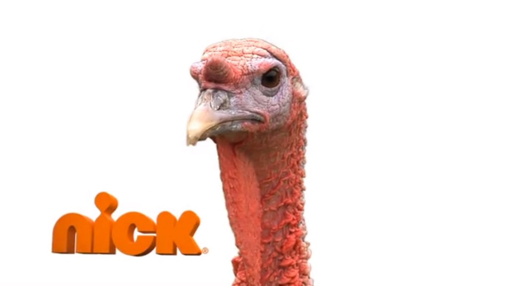 Nimble Reality | Nick-Turkey